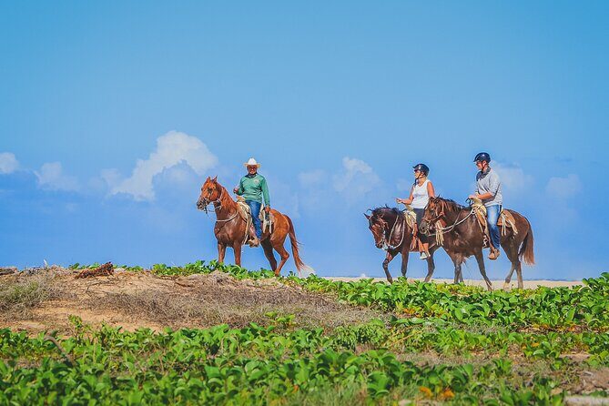 Los Cabos Horseback Riding - Practical Tips for Participants