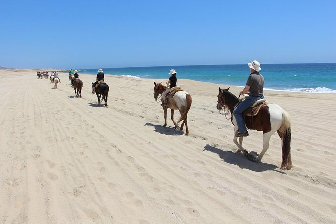 Los Cabos Horseback Riding - The Sum Up