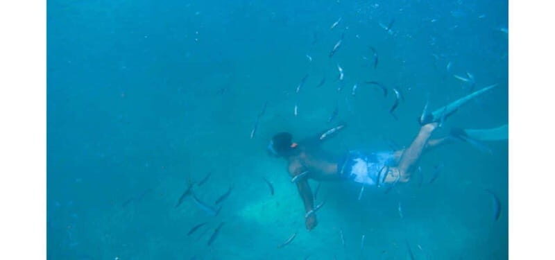Los Cabos: Land's End Kayak and Snorkel Tour - Who It’s Best For