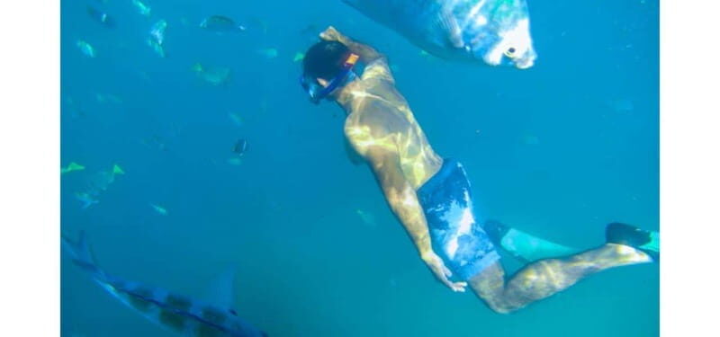 Los Cabos: Land's End Kayak and Snorkel Tour - Final Thoughts