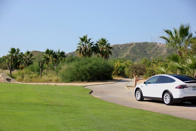 Los Cabos Luxury Private Tesla Transfer from Airport to Cabo San Lucas Area - Who Should Book This Transfer?