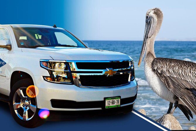 Los Cabos Luxury SUV Round-trip Transportation - FAQ