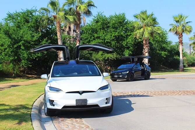 Los Cabos Luxury Tesla Transfer from Airport to San José del Cabo Area - Who Will Love This Experience?