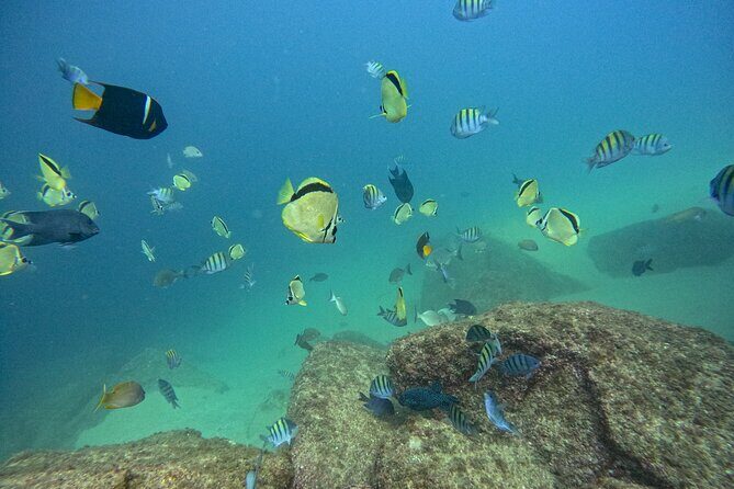 Los Cabos Open Water Diver Course - Day 1: Introduction and Theory