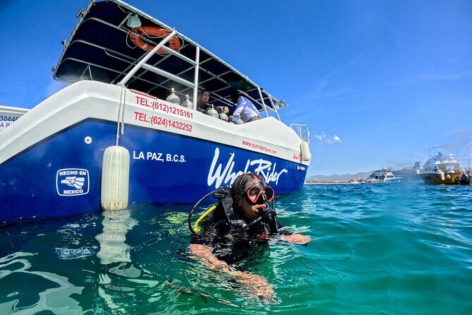 Los Cabos Open Water Diver Course - What Past Participants Say