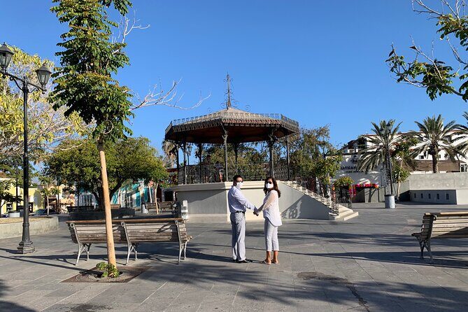 Los Cabos Private Chauffeur Service - Authentic Experiences and Real Travelers’ Opinions