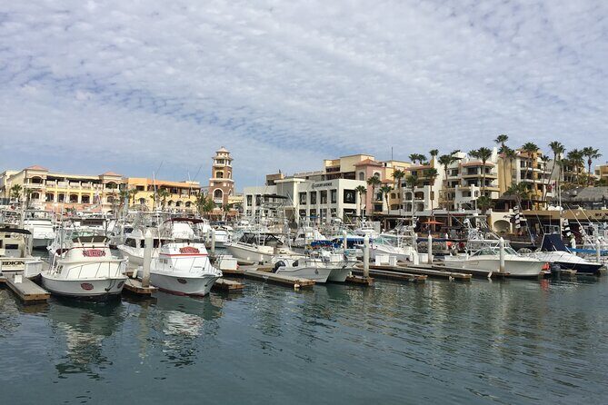 Los Cabos Private Chauffeur Service - FAQ