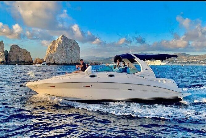 Los Cabos Private Yacht Whale Watching Tour, Snorkel and Drinks - The Itinerary in Detail: What to Expect