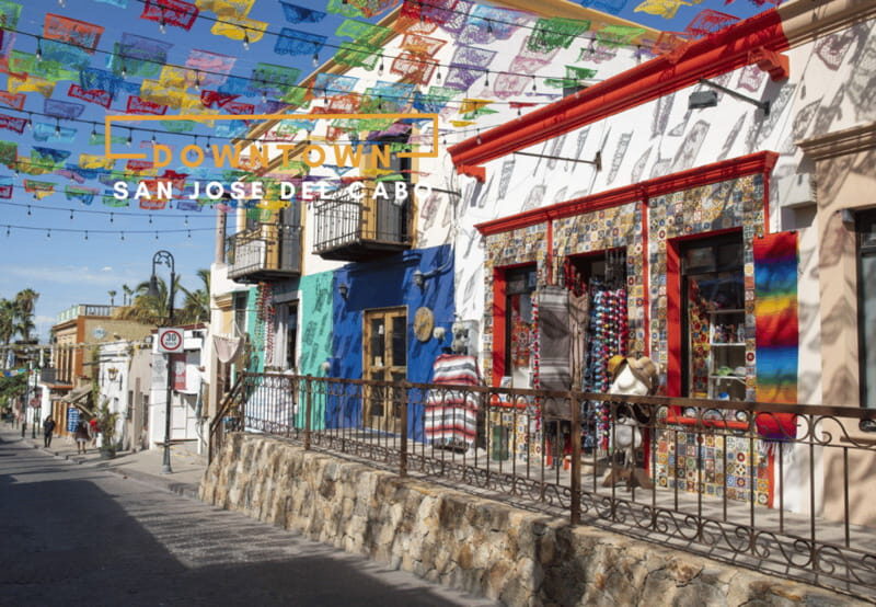 Los Cabos: San Jose del Cabo and Cabo San Lucas Tour - Exploring Baja California Sur: What’s in Store