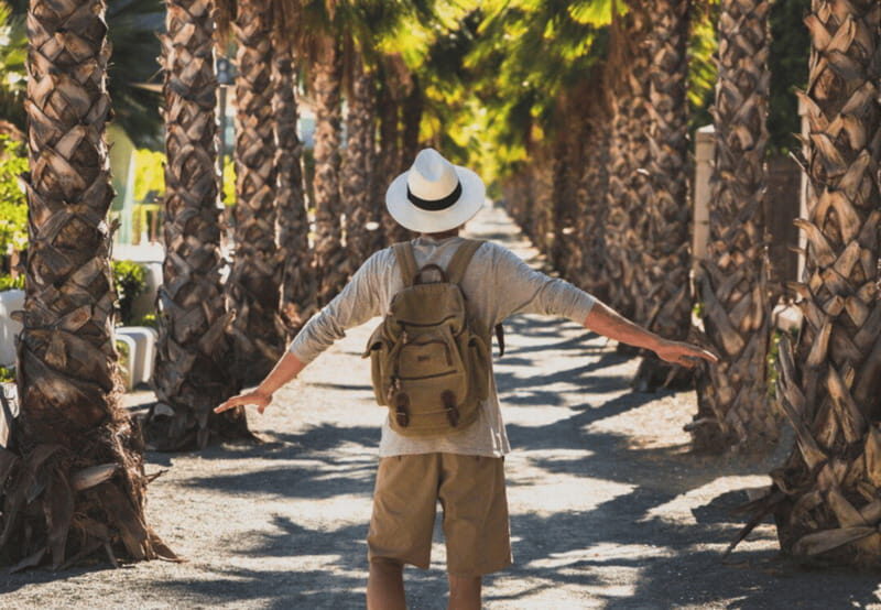 Los Cabos: San Jose del Cabo and Cabo San Lucas Tour - Iconic Landmarks and Natural Wonders