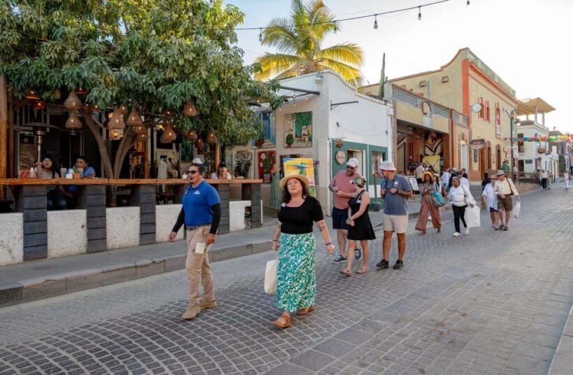 Los Cabos: San Jose del Cabo Art Walk and Beer Tasting Tour - Who Will Appreciate This Tour?