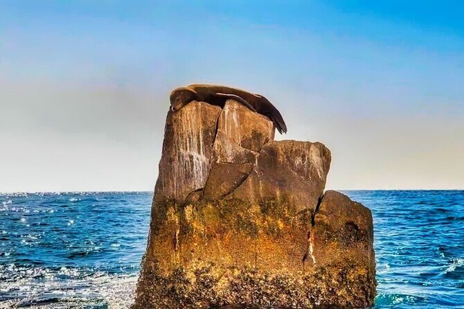 Los Cabos Sightseeing and Cultural Day Trip with Boat Ride - FAQ
