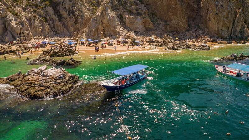 Los Cabos: Snorkel and Marine Life - Starting Point and Transportation