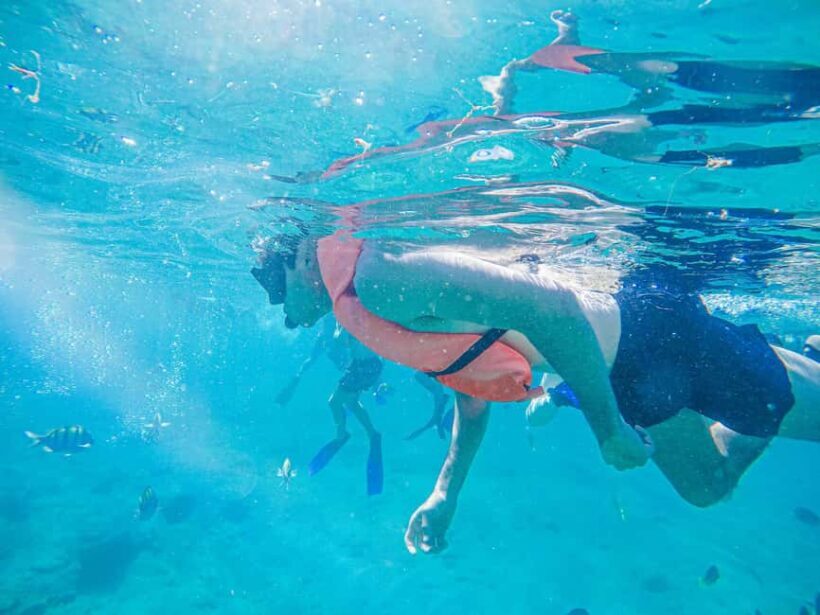 Los Cabos: Snorkeling Cruise with Lunch - Key Points
