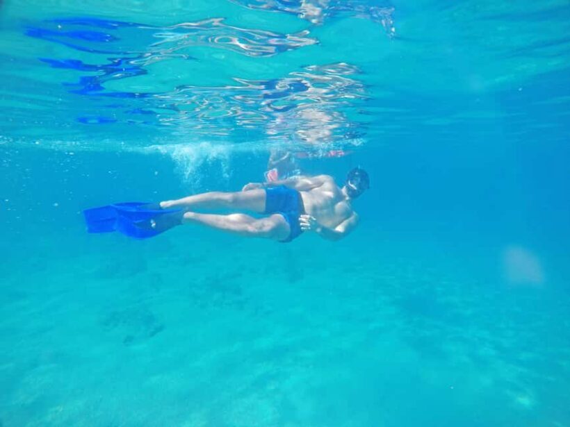 Los Cabos: Snorkeling Cruise with Lunch - The Experience: What to Expect on This Cabo Snorkeling Cruise