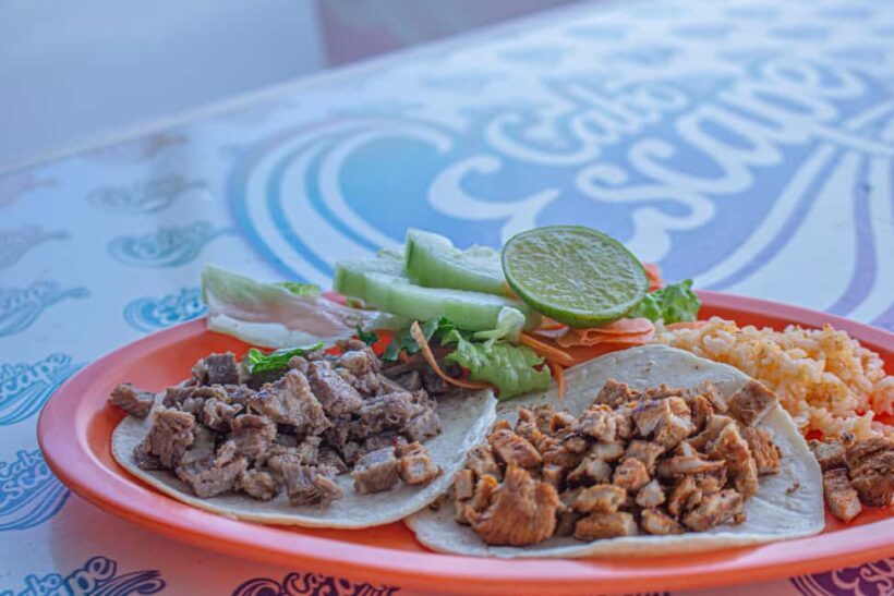 Los Cabos: Snorkeling Cruise with Lunch - The Sum Up