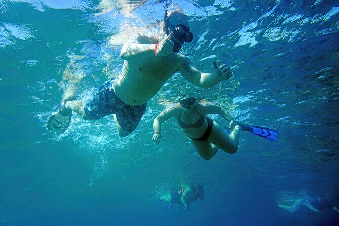 Los Cabos Snorkeling Tour by Speed Boat with Photos Included - Why the Sea of Cortez?