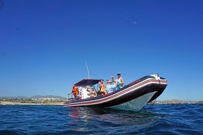 Los Cabos Snorkeling Tour by Speed Boat with Photos Included - Price and Value Analysis