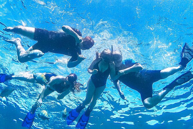 Los Cabos Snorkeling Tour by Speed Boat with Photos Included - Final Thoughts: Who Should Join?
