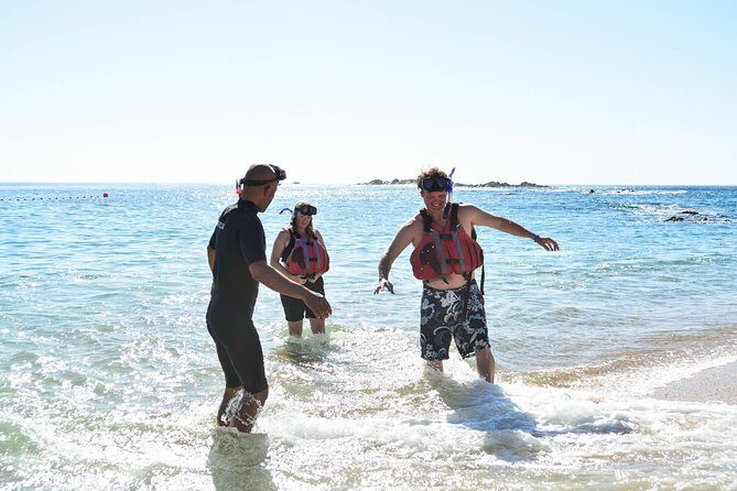 Los Cabos Snorkeling Tour to Chileno Bay and Santa Maria Cove - Pricing and Value: How Does It Stack Up?