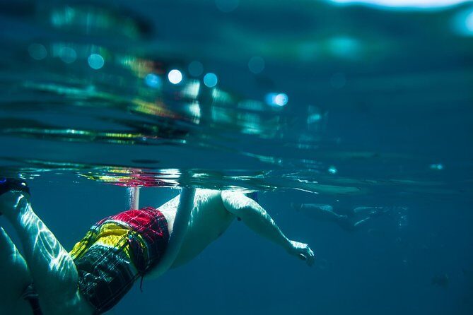 Los Cabos Snorkeling Tour to Chileno Bay and Santa Maria Cove - Who Should Consider This Tour?