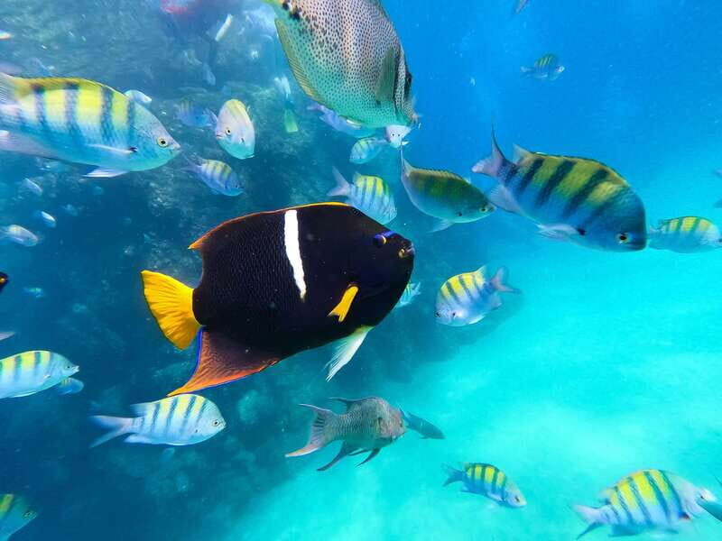 Los Cabos: SUP to The Arch & Snorkel + Transport & Photos - The Itinerary: What to Expect Step-by-Step