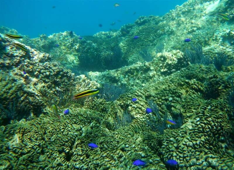 Los Cabos: The Arch and Lover's Beach Kayaking + Snorkeling - Exploring the Cabo Water Adventure