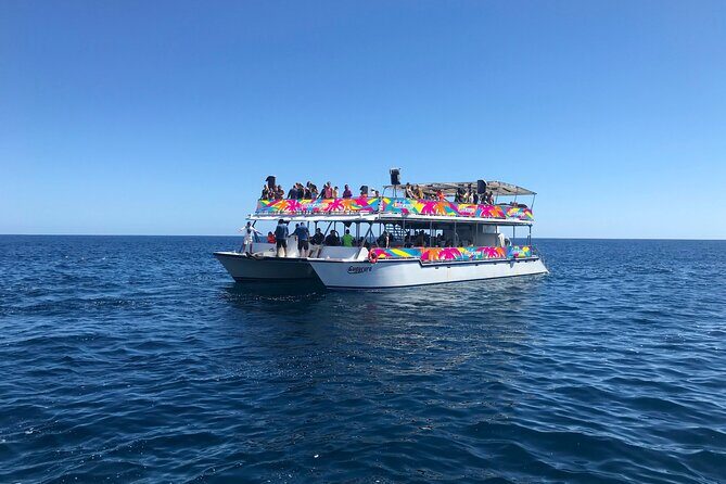 Los Cabos Whale Watching Cruise Including Breakfast - Pricing & Value for Money