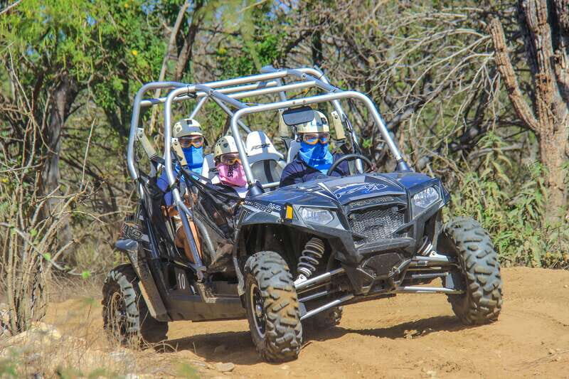 Los Cabos: Zip Lines and UTVs with Mexican Lunch and Drinks - Key Points