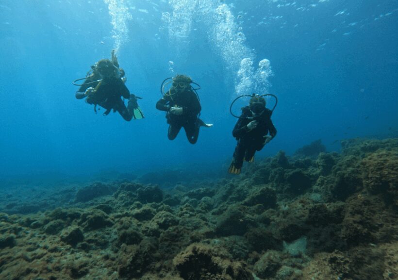 Los Cristianos: Basic Diver Course - Who Will Love This Tour?