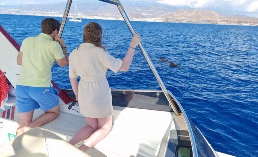 Los Cristianos: Eco-Yacht Whale Watching Cruise with Swim - Who Should Join This Tour?