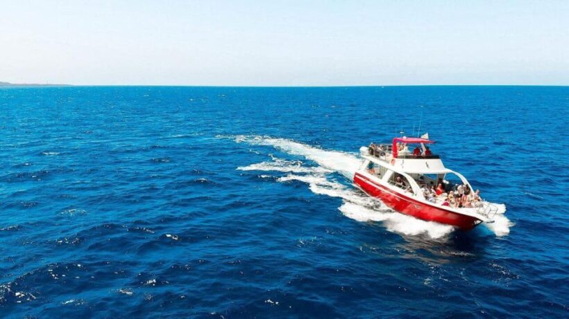 Los Cristianos: Eco Yacht Whale Watching Tour at Sunset - What’s the Experience Like?