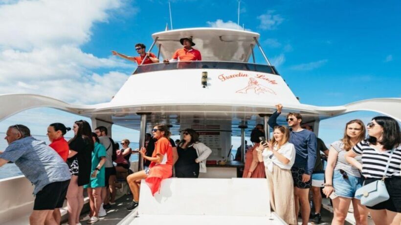 Los Cristianos: Eco Yacht Whale Watching Tour at Sunset - What’s Included and What’s Not?