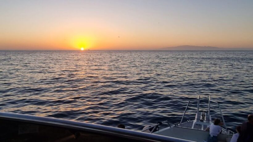 Los Cristianos: Eco Yacht Whale Watching Tour at Sunset - The Experience for Different Travelers
