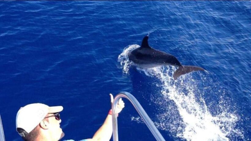 Los Cristianos: Eco Yacht Whale Watching Tour at Sunset - Practical Tips for Travelers