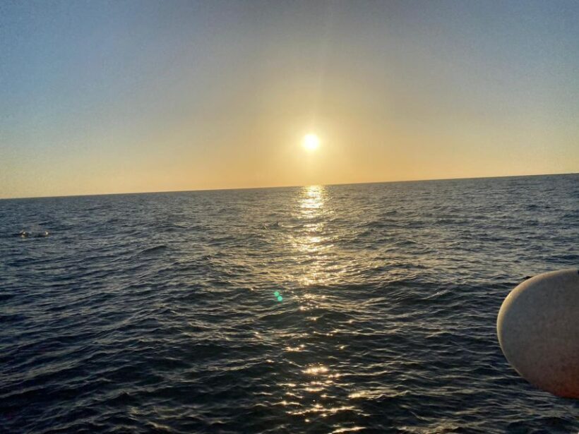 Los Cristianos: Eco Yacht Whale Watching Tour at Sunset - FAQ