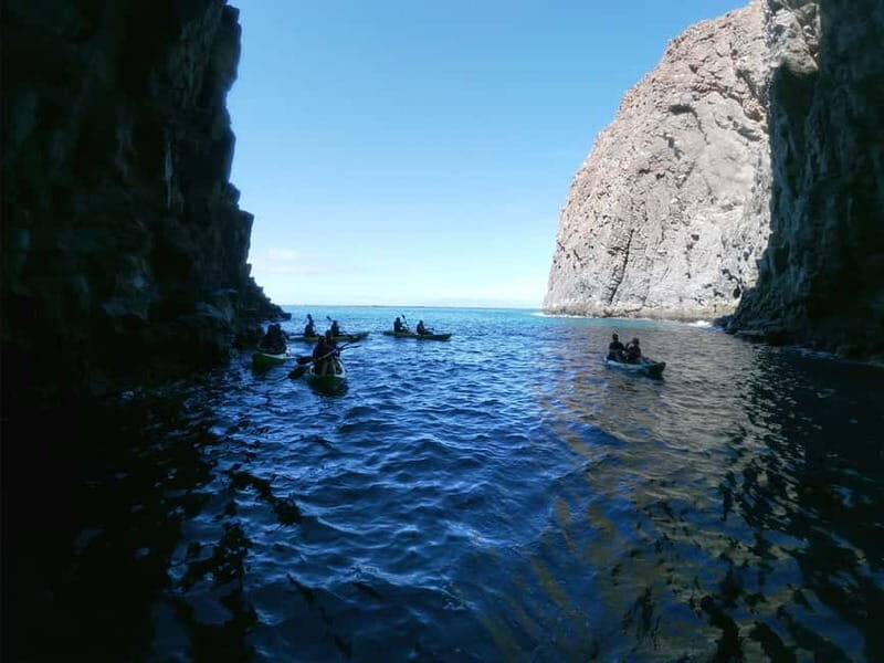 Los Cristianos: Kayak and Snorkel with Turtles and Photos - Introduction: A Vibrant Ocean Adventure Near Los Cristianos
