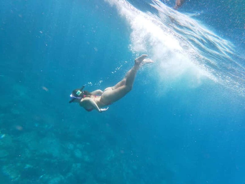 Los Cristianos: Kayak and Snorkel with Turtles and Photos - Equipment and Safety: What’s Included