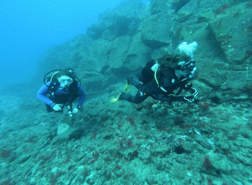 Los Cristianos: Try Dive for beginners - How Does It Compare Value-Wise?