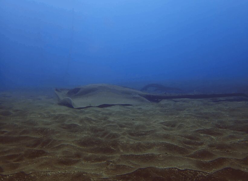 Los Cristianos: Try Dive for beginners - Practical Tips for Your Dive Experience