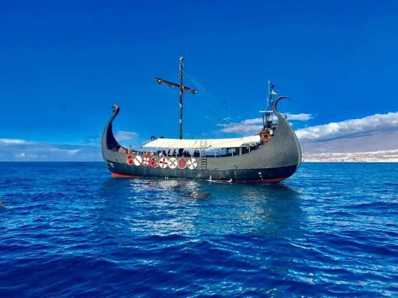 Los Cristianos: Viking Cruise Whales & Dolphins Watching - Practical Tips for Your Trip