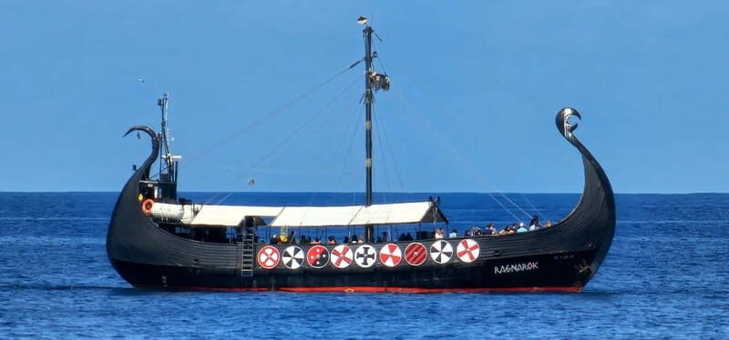 Los Cristianos: Whale Watching Cruise w/Swim Stop & Drinks - The Itinerary: A Detailed Breakdown