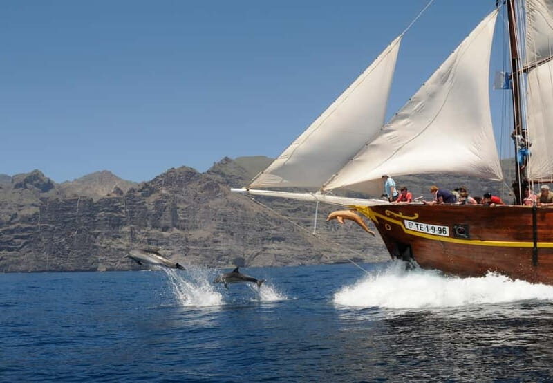 Los Gigantes: Dolphin and Whale Watching Tour with Drinks - Setting Sail from Los Gigantes