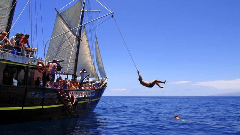 Los Gigantes: Dolphin and Whale Watching Tour with Drinks - Additional Activities and Features