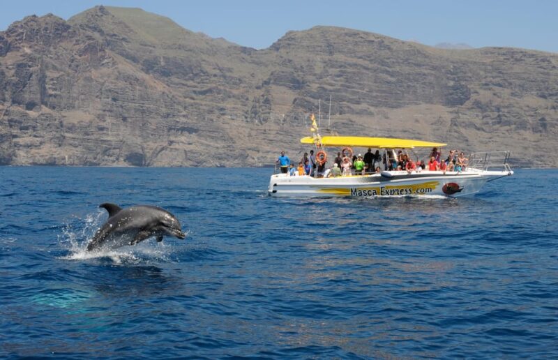 Los Gigantes: Dolphin & Whale Watching Cruise with Swim Stop - Practical Details and What You Need to Know