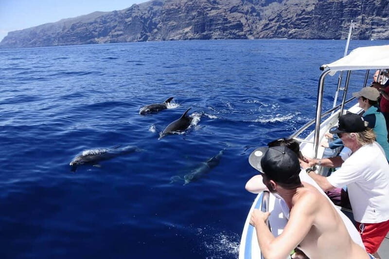Los Gigantes: Whale or dolphin watching and swimming tour in Masca - A Closer Look at the Experience