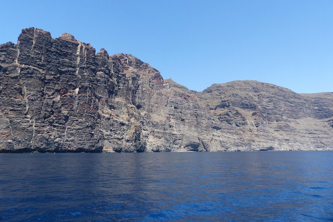 Los Gigantes Whale Watching Charter by Sail Boat - Wrap-up and Return