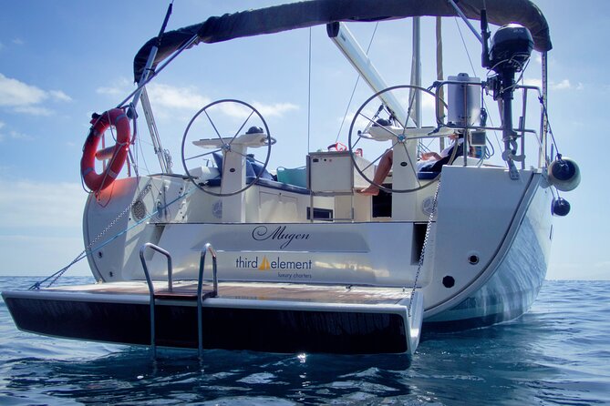 Los Gigantes Whale Watching Charter by Sail Boat - Duration and Departure