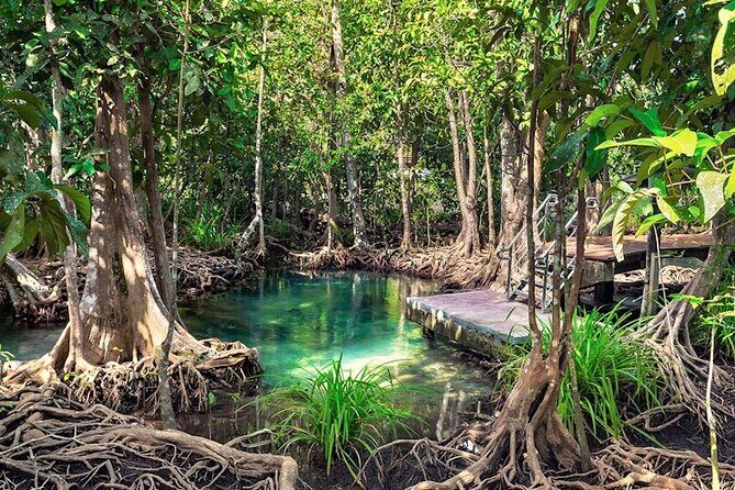 Los Haitises and Cayo Levantado Tour - Key Points