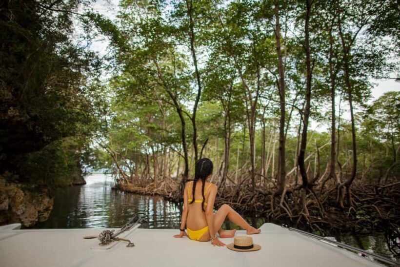 Los Haitises: Boat Excursion and Walking Tour with Lunch - A Close Look at the Experience